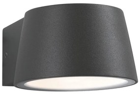 Paulmann | Paulmann 94452 - LED/6W IP44 Venkovní nástěnné svítidlo CAPEA 230V | W1649