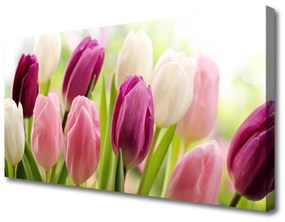 Obraz na plátně Tulipány Květiny Příroda Louka 125x50cm