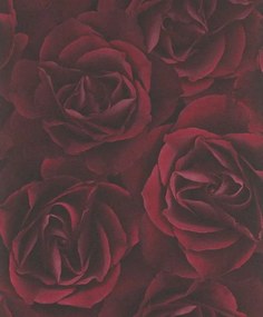 Luxusní vliesová tapeta růže vínově červená 525625 / Tapety na zeď Crispy Paper (0,53 x 10,05 m) Rasch