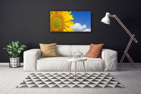 Obraz na plátně Slunečnice Mraky 120x60 cm