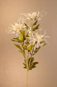 Paramit DRY WILD SEA HOLLY Aranžovací květina bílá 67 cm