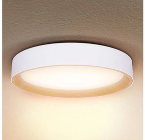 Brilagi -LED Stmívatelné svítidlo LARIOS LED/60W/230V 3000-6500K pr. 49 cm bílá+DO