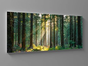 Liox Obraz tichý les Rozměr: 100 x 45 cm