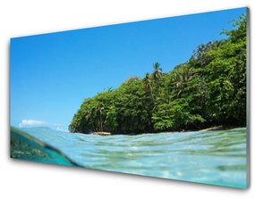 Plexisklo-obraz Moře Strom Krajina 125x50 cm