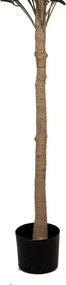 Dekorace umělý stromek olivovník s olivami Olea Tree - 50*50*165 cm