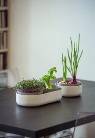 Klíčící miska Regrow, slonová kost s kávovou sedlinou