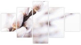Obraz - Větev kočičky (125x70 cm)