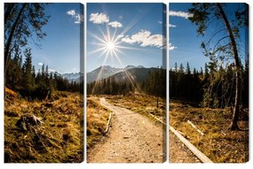 Vícedílný obraz Slunečný Den V Tatrách 3D Nedostatek Nedostatek Přírodní plátno 150x100