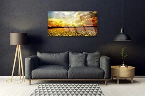 Obraz na skle Pole Slunečnic Krajina 125x50 cm