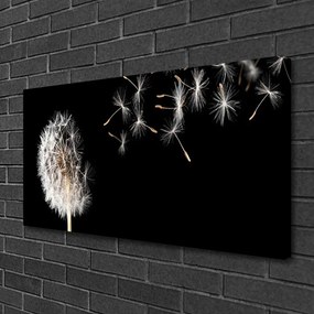 Obraz na plátně Pampeliška Květ Kapky 140x70 cm