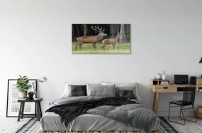 Obraz na skle jelen lesní 120x60 cm