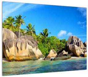 Obraz mořské pláže s palmami (70x50 cm)