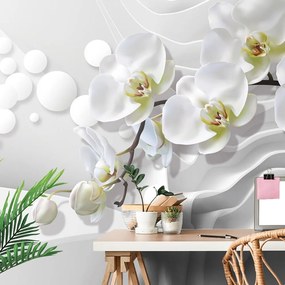 Tapeta orchidej na abstraktním pozadí - 150x270