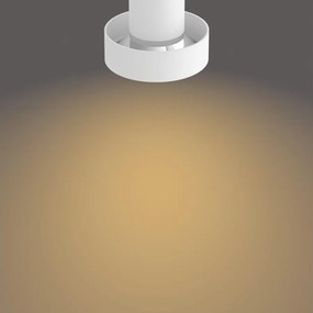 LED Bodové svítidlo Philips Bukko 50601/31/P0 s funkcí SceneSwitch 1x4,3W