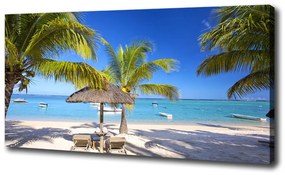 Wallmuralia Foto obraz na plátně do obýváku Pláž Mauritius 100x50