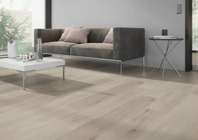 Oneflor Vinylová podlaha lepená ECO 55 057 Prestige Oak White  - dub - Lepená podlaha