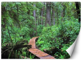Fototapeta, Cesta tropickým pralesem - 150x105 cm