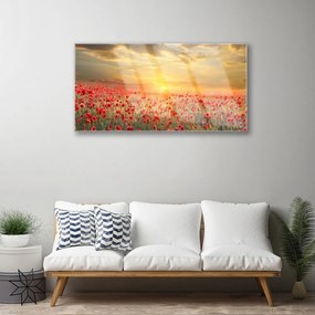 akrylový obraz Slunce Louka Mák Květiny 100x50 cm