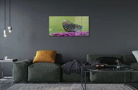 Obraz na skle Barevný motýl na květiny 140x70 cm