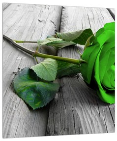 Obraz zelené růže (30x30 cm)