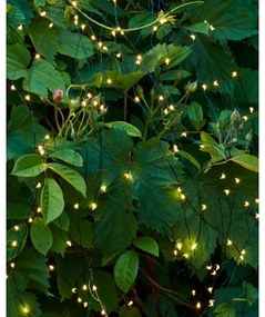 Svítící řetěz Fairy Light 80 LED Green Sirius