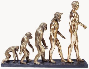 Dekorace Evolution