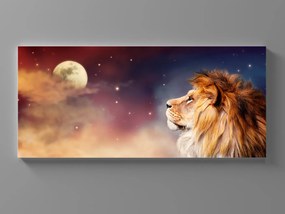 Liox XXL Obraz lev a měsíc Rozměr: 200 x 100 cm