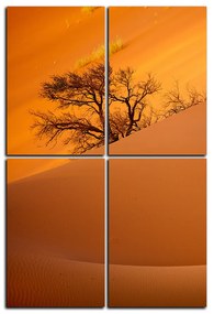 Obraz na plátně - Červené písečné duny - obdélník 7133E (90x60 cm)