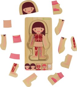 Dřevěné vrstvené puzzle tělesné stavby montessori dívka