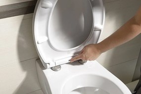 Sapho 1703-746 LISA WC sedátko soft close duroplast