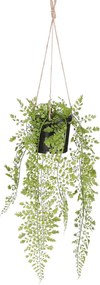 Mica Decorations Umělá rostlina Adiantum v květináči, zelená, 47 x 20 cm