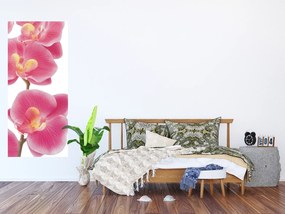 Vliesová fototapeta na zed' Růžová Orchidej | 202 x 90 cm | DFTNV2826