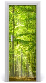 Fototapeta na dveře bukový les 95x205 cm