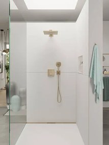 Hansgrohe Raindance E, hlavová sprcha 300 1jet se sprchovým ramenem, kartáčovaný bronz, HAN-26238140