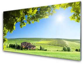 akrylový obraz Pole Listy Krajina 100x50 cm