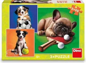 DINO Puzzle Psí sportovci / 3x55 dílků / od 5 let