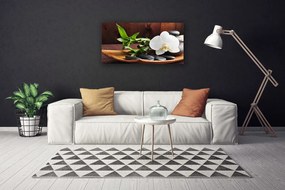 Obraz na plátně Kameny Zen Bílá Orchidej 100x50 cm