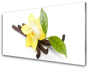 Obraz na skle Vanilka Listy Rostlina 120x60 cm