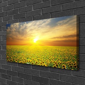 Obraz na plátně Slunce Louka Slunečnice 100x50 cm