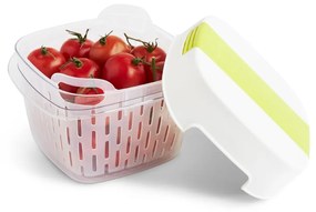 Rotho Speciální box na ovoce a zeleninu, s ventilací a filtrem, do lednice, Fridge Fresh,1,6l
