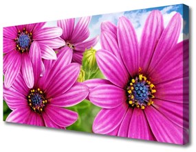 Obraz na plátně Květiny 100x50 cm