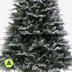Smrk Zasněžený 600 LED 210 cm