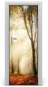 Fototapeta na dveře samolepící les podzim 85x205 cm