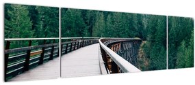 Obraz - Most k vrcholkům stromů (170x50 cm)
