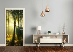 Fototapeta samolepící na dveře les příroda 95x205 cm