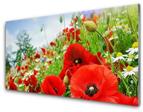 akrylový obraz Květiny Příroda 100x50 cm
