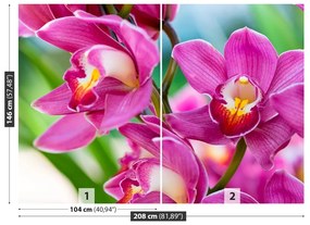 Fototapeta Růžové orchideje 104x70