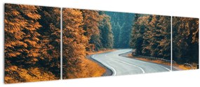 Obraz - Klikatící se silnice (170x50 cm)