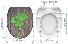 Eisl Sanitär WC prkénko Duroplast Soft Close Ginko and Wood 82154