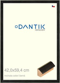 DANTIK rámeček 42x59,4 | INCLINATA colori černá (Plexi Čiré)